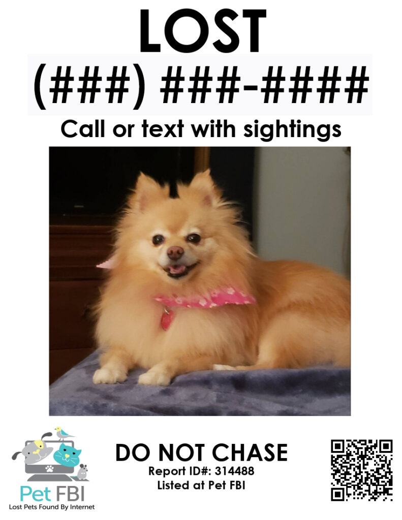 Create Your Own Flyers | Lost Dogs Illinois